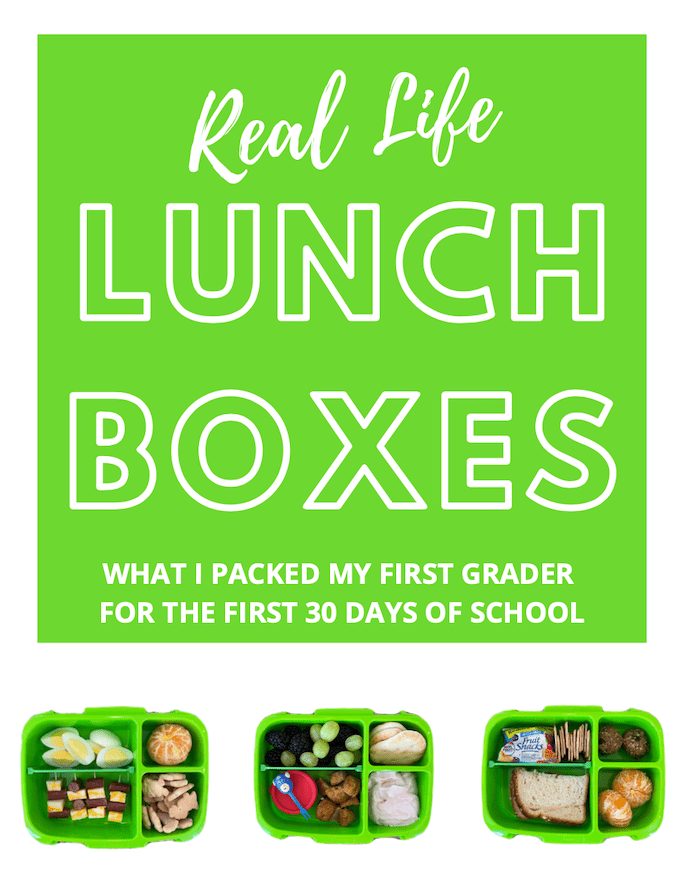 Packed Lunch Ideas For Kids | 24 Lunch Box Ideas w/ Photos